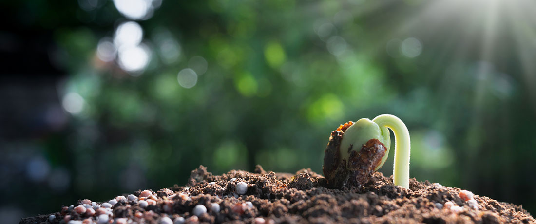 avesco Small caps offer opportunities