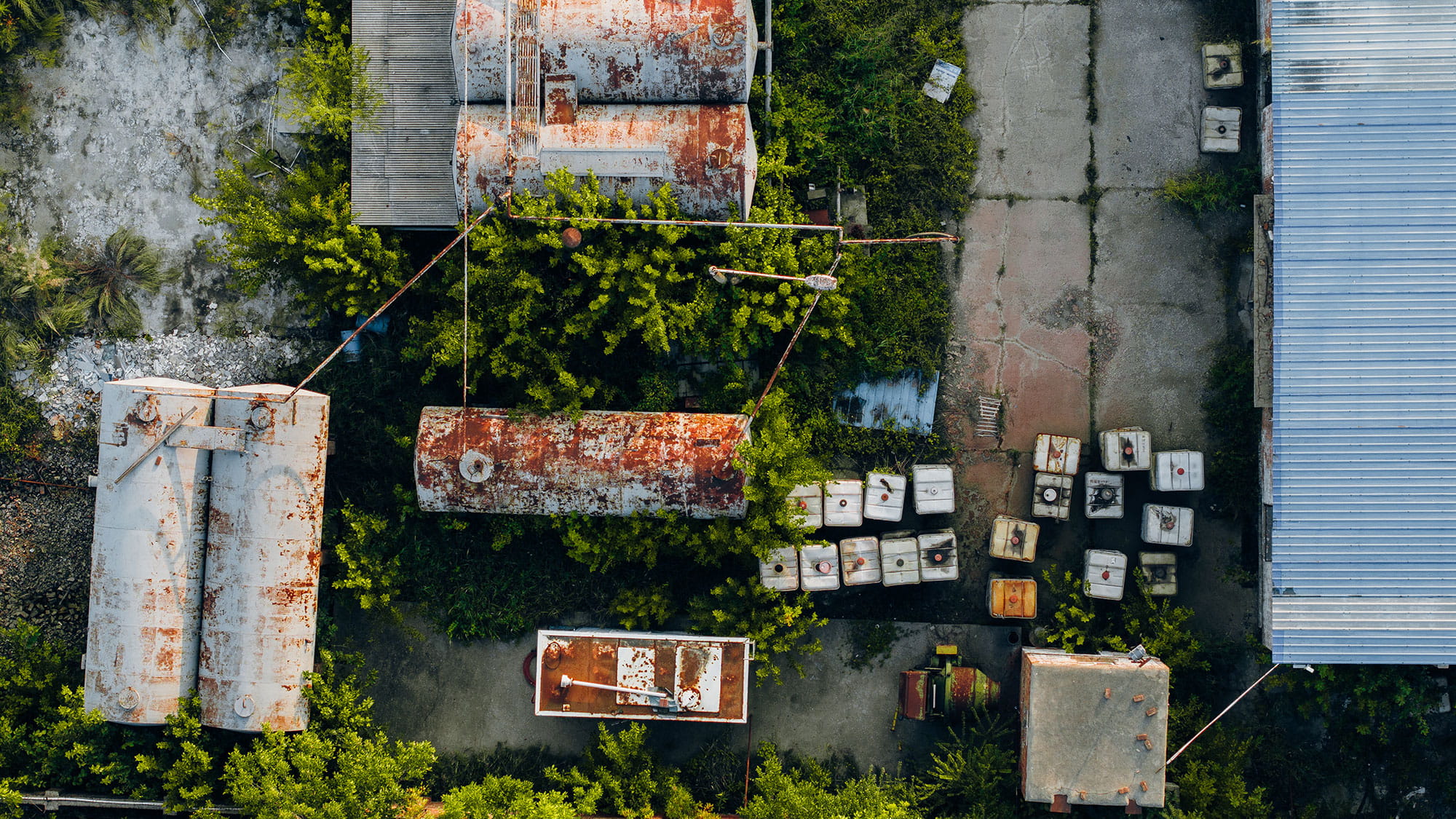 Evergreen - Where sustainable investing and strong performance come ...