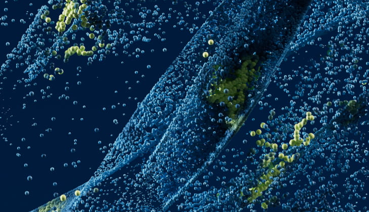 Universal Investment I Universe I Mandatum Asset Management